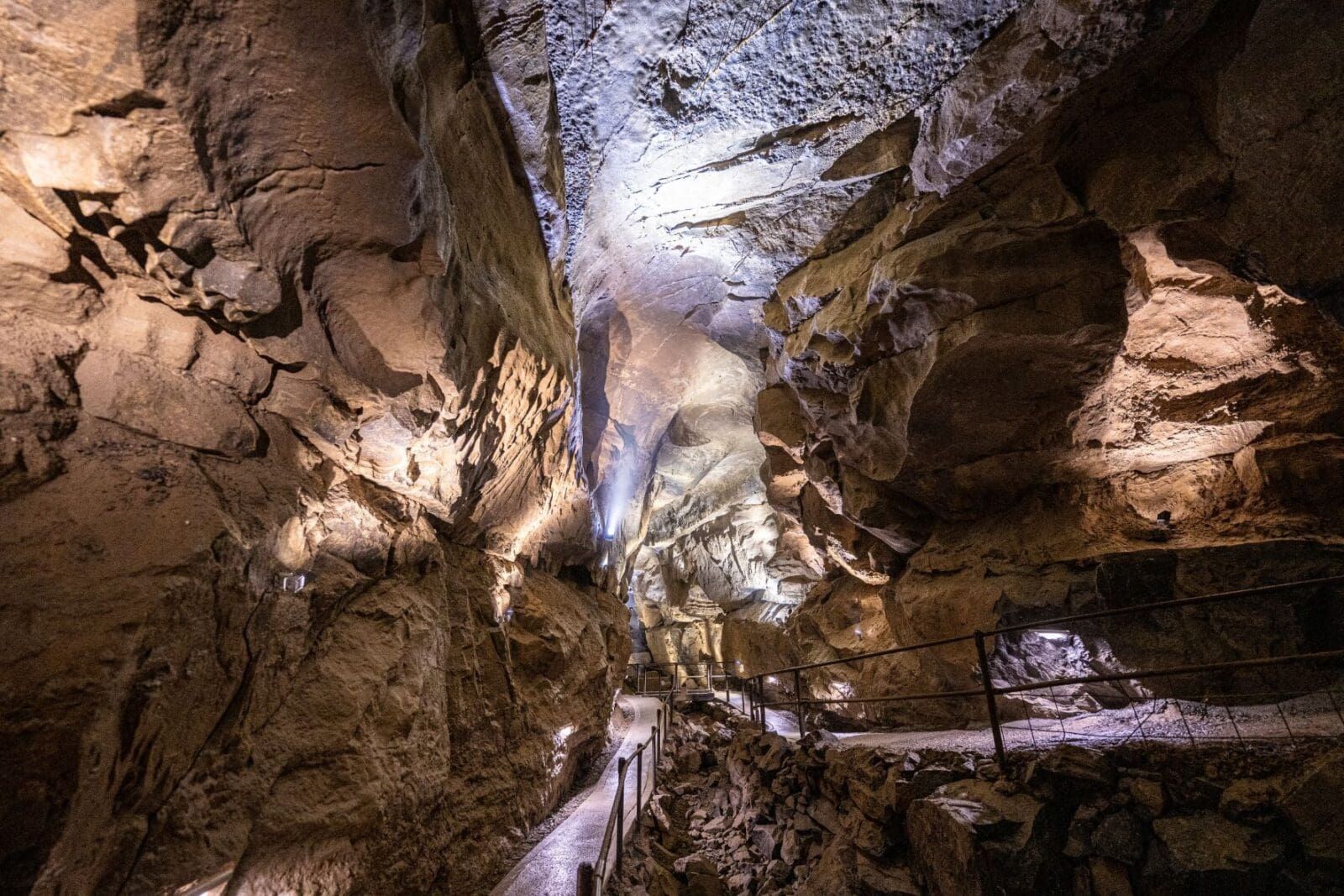 Aillwee Burren Experience – 50 Years Of Fáilte! | Go Wild Magazine